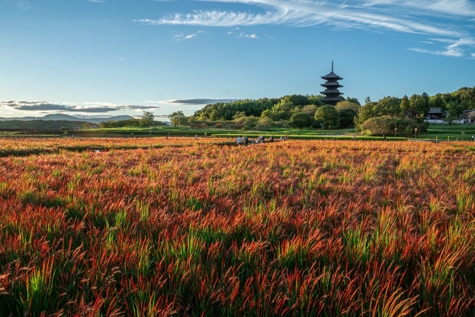 - KIBI Wonder Cycling Tours